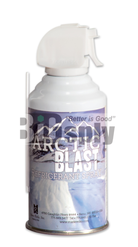 ARCTIC BLAST-Endo spray 10 oz/can – Bigsply