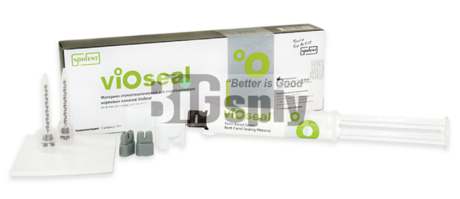 VioSeal-Resin based Root Canal Sealing Material 10g syringe – Bigsply